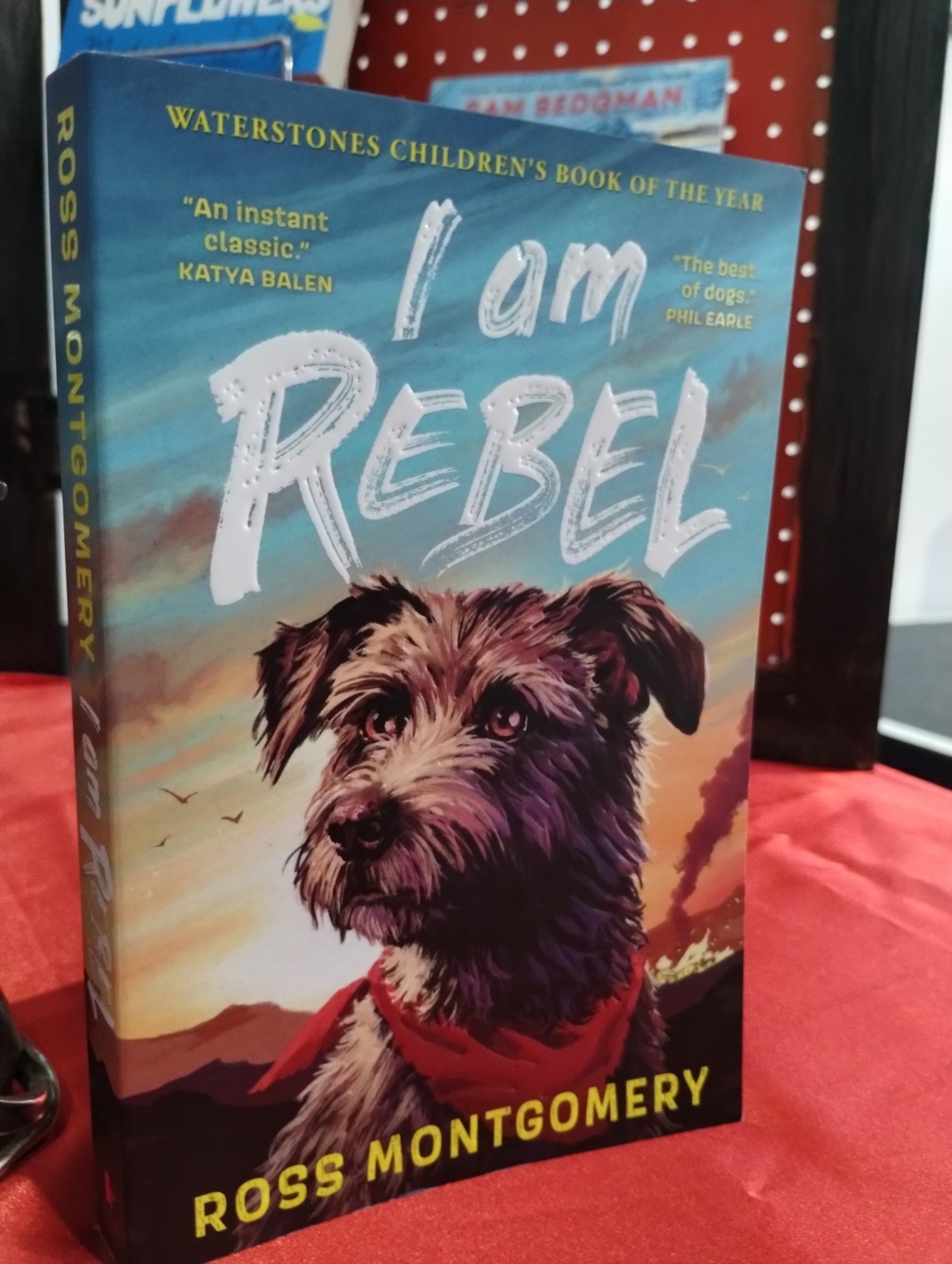 Winner Announced for the 2025 FCBG Children’s Book Award – The ...