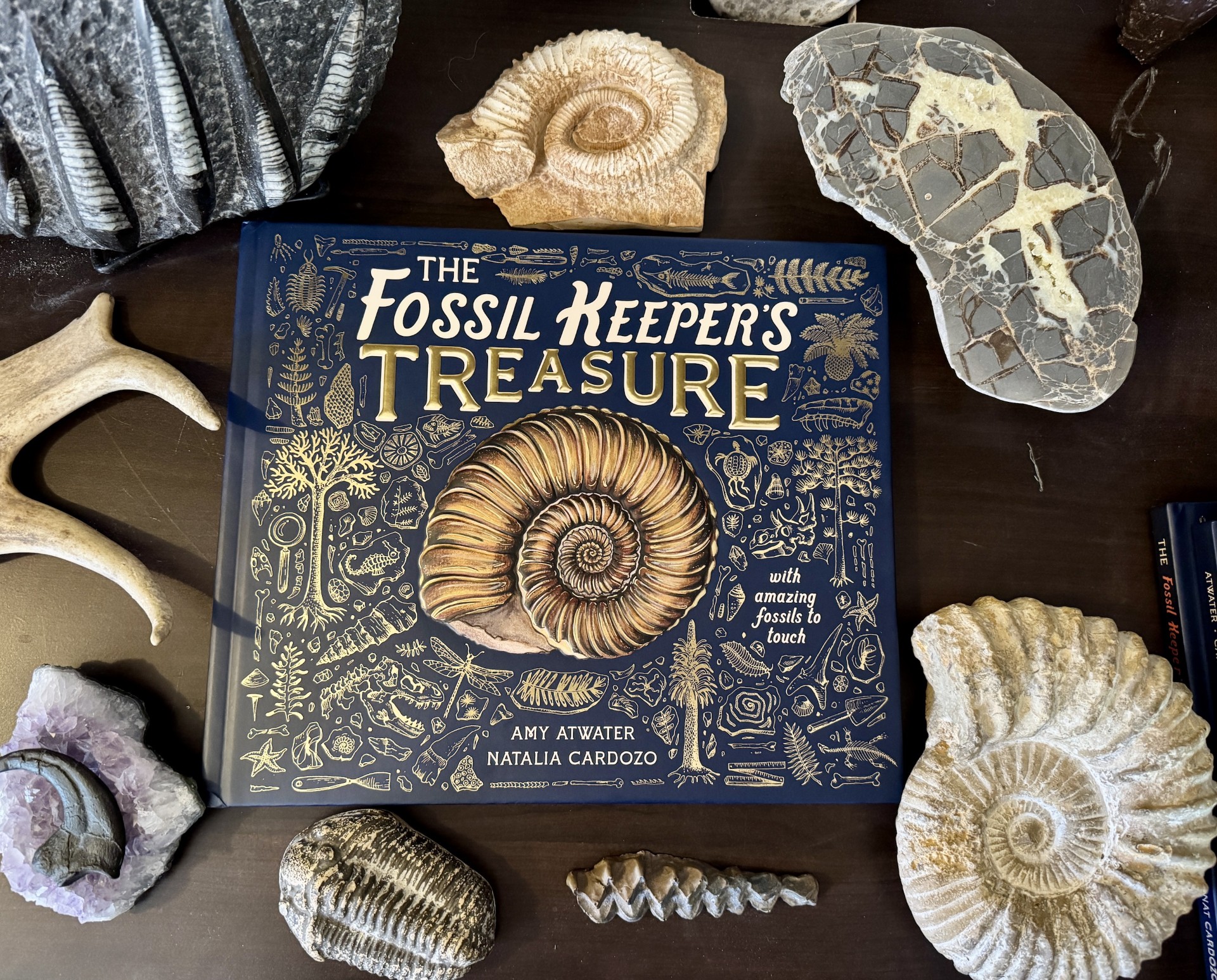 The Fossil Keeper’s Treasure by Amy Atwater – The Federation of ...